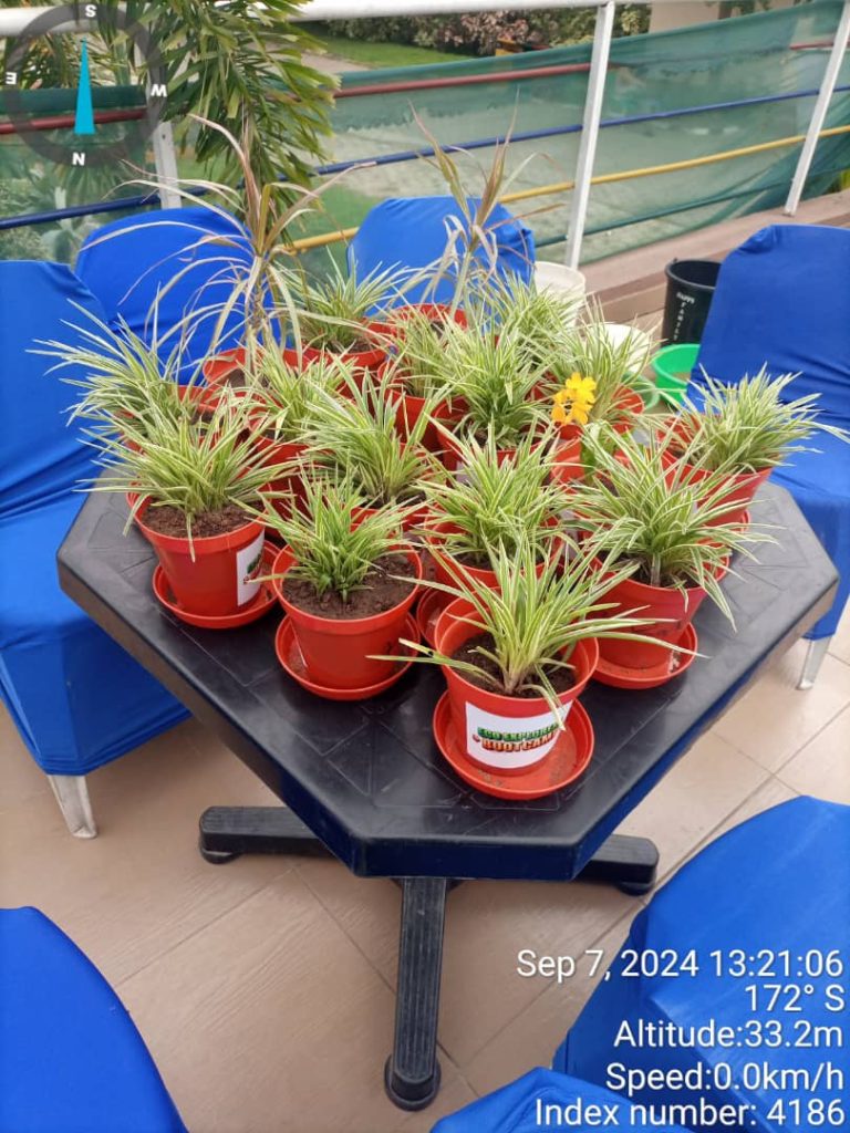 Eco Explorers Bootcamp: LASPARK partners with LASEPA - Lagos State Parks & Gardens Agency